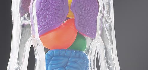 Refluxul gastroesofagian