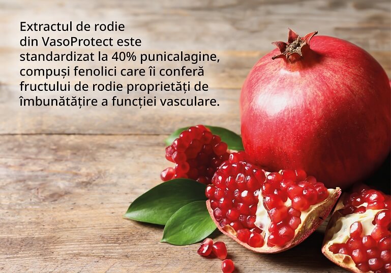 Probleme de circulatie vara? Iata cum elimini senzatia de „picioare grele“!